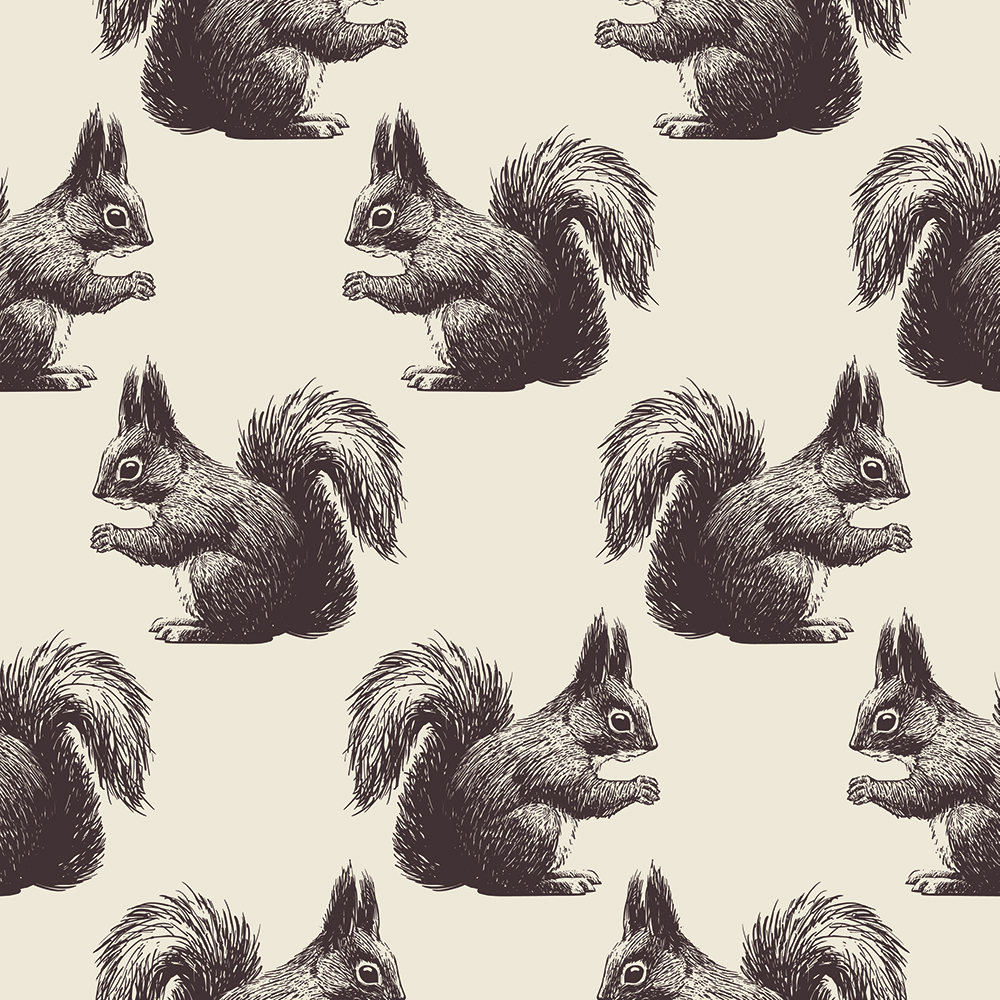 Affiche pattern écureuil vintage Poster mural - Artcamia